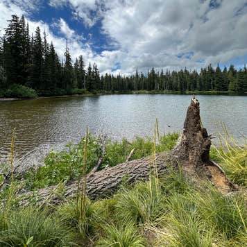 Forlorn Lakes Camping | Trout Lake, Washington