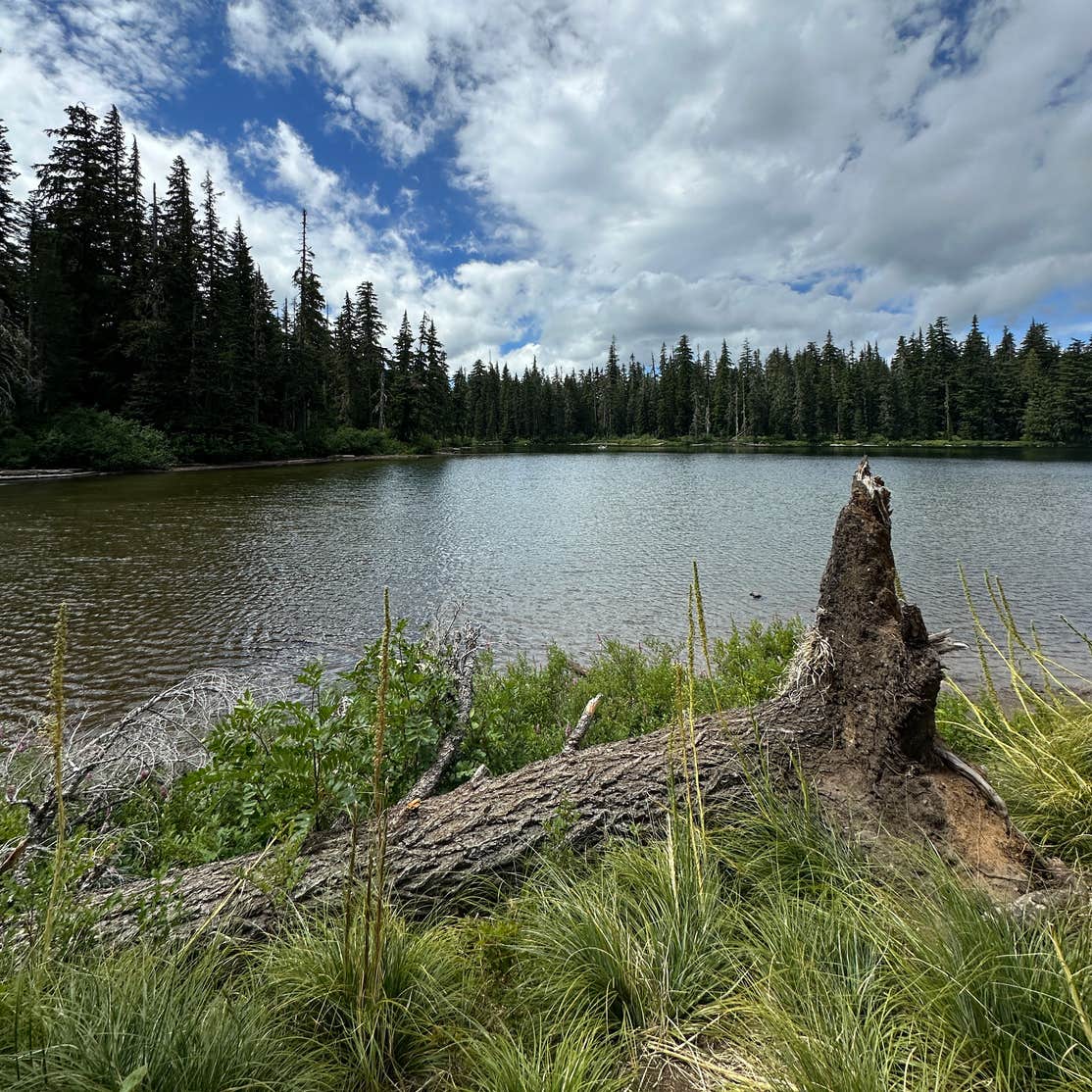 Forlorn Lakes Camping | Trout Lake, Washington