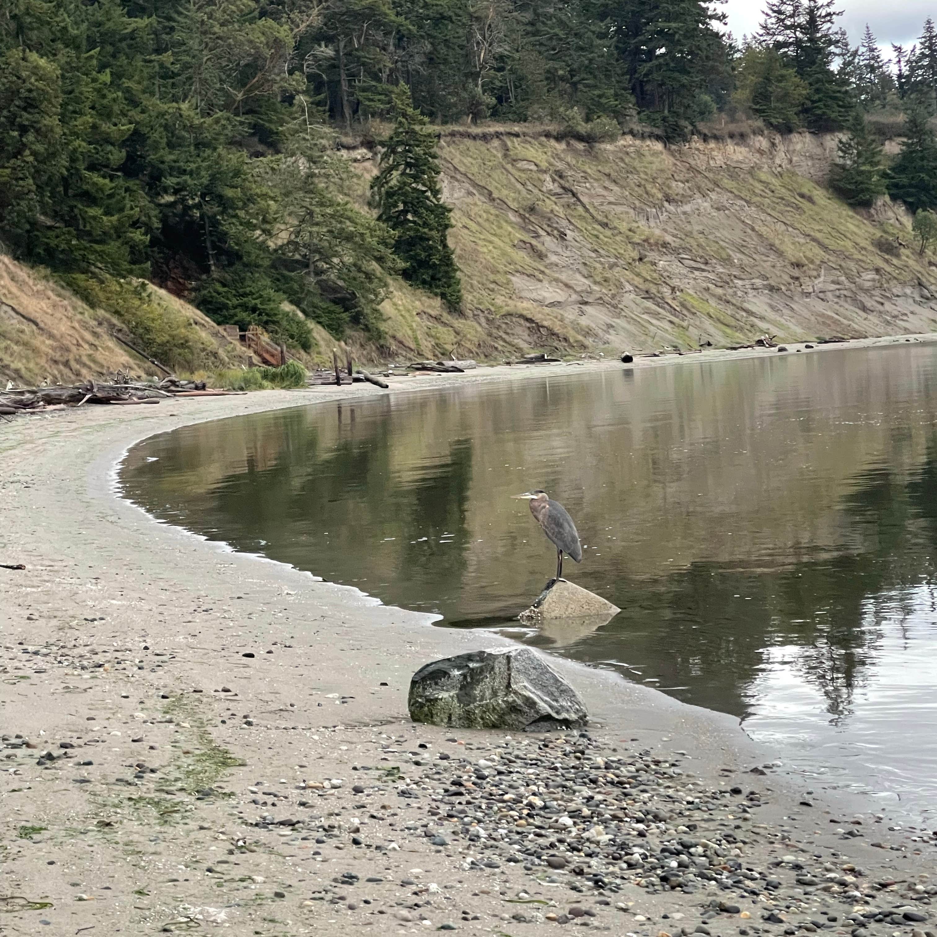 Fort Flagler Historical State Park Campground | Nordland, WA