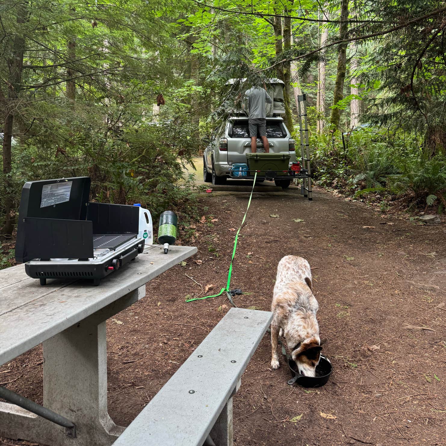 Fort Townsend Historical State Park Campground | Port Townsend, Washington