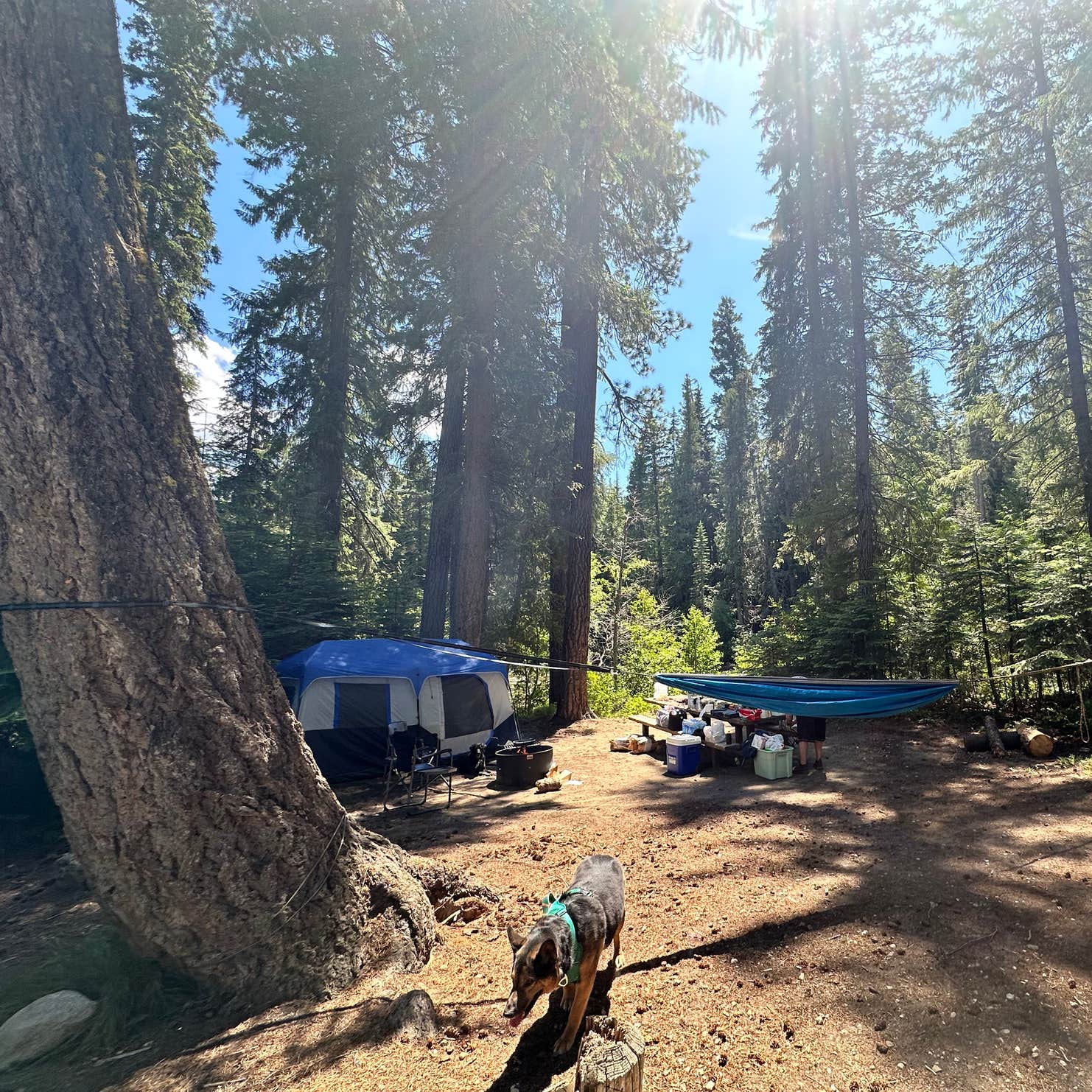 Goose Creek Campground | Ardenvoir, Washington