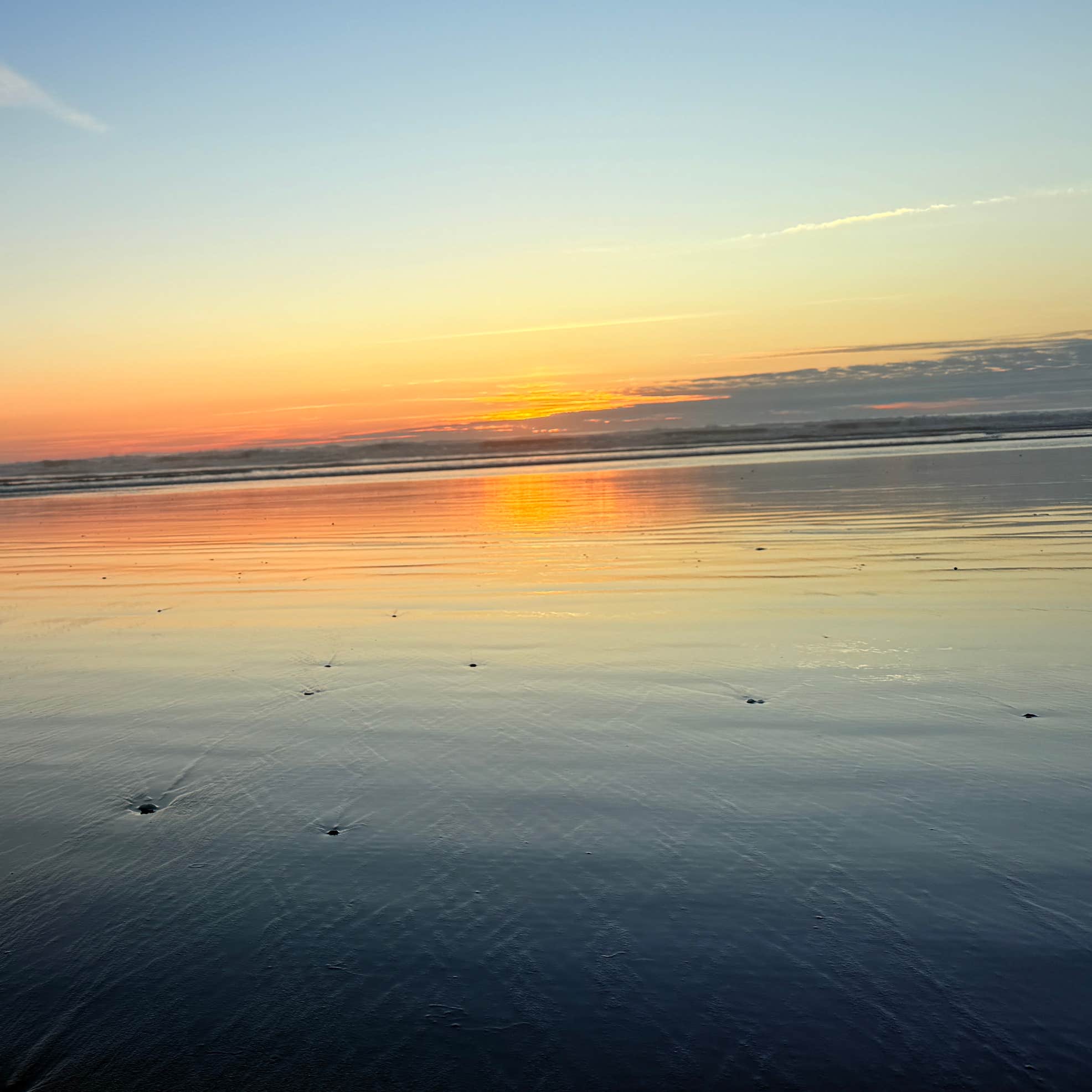 Grayland Beach State Park Campground | Westport, Washington