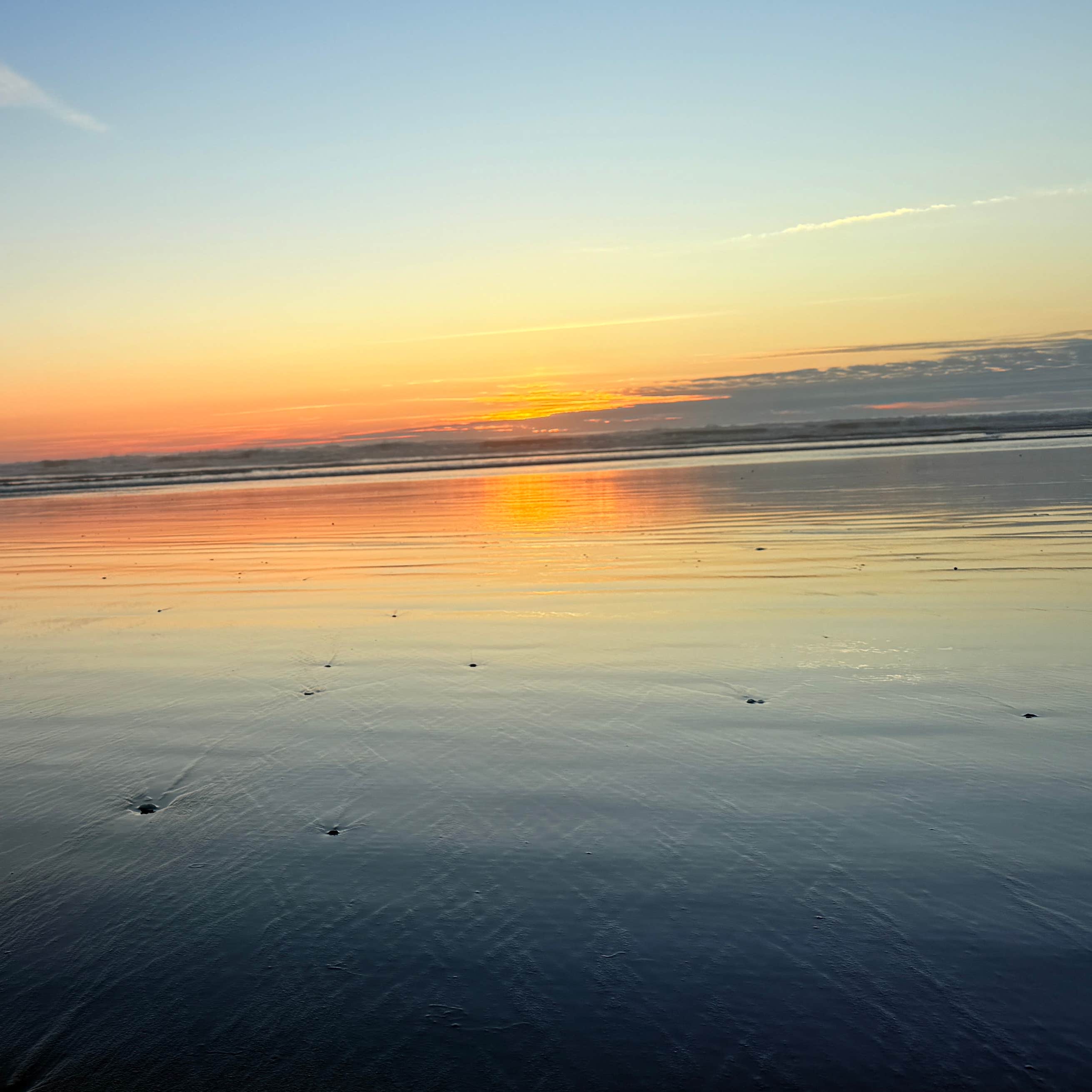 Grayland Beach State Park Campground | Westport, Washington