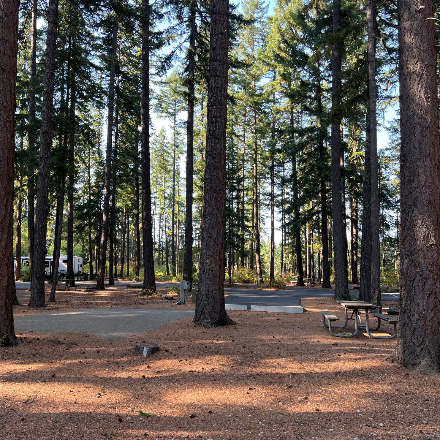 Lake Easton State Park Campground | Easton, Washington