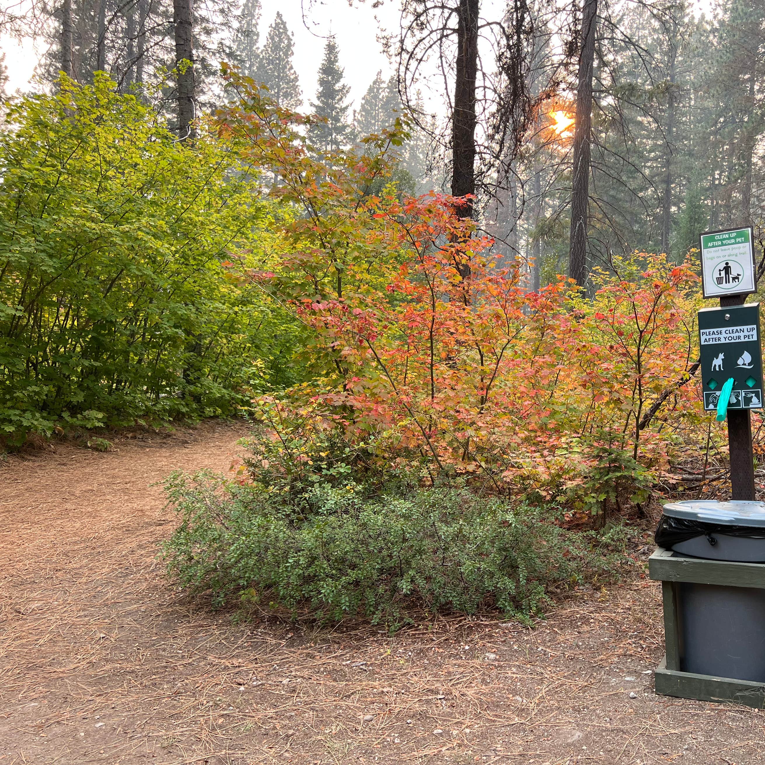 Lake Wenatchee State Park Campground | Leavenworth, Washington
