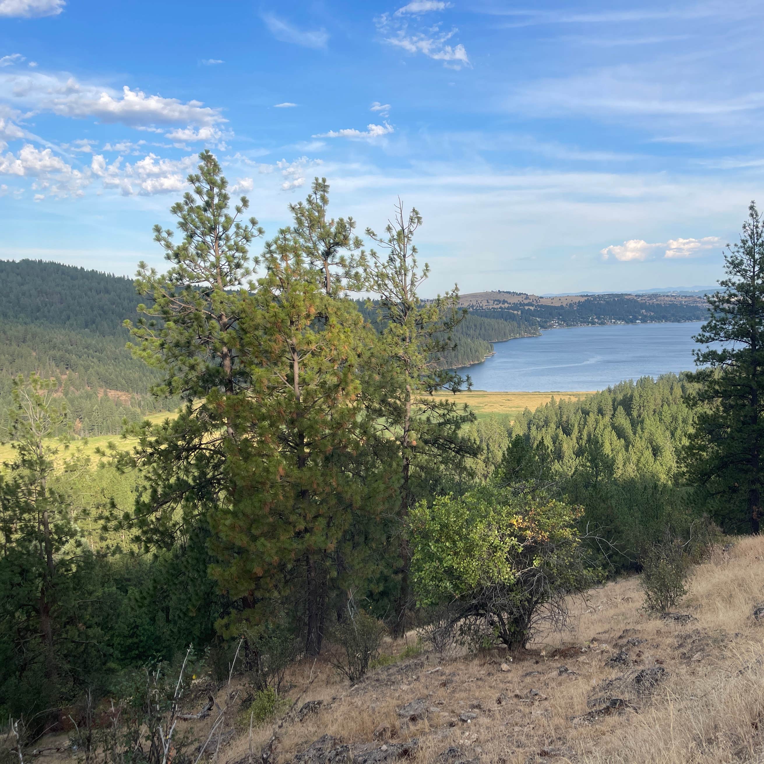 Liberty Lake Regional Park Camping | Liberty Lake, Washington
