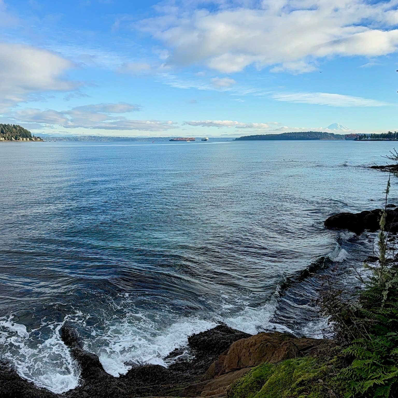 Manchester State Park Campground | Manchester, Washington