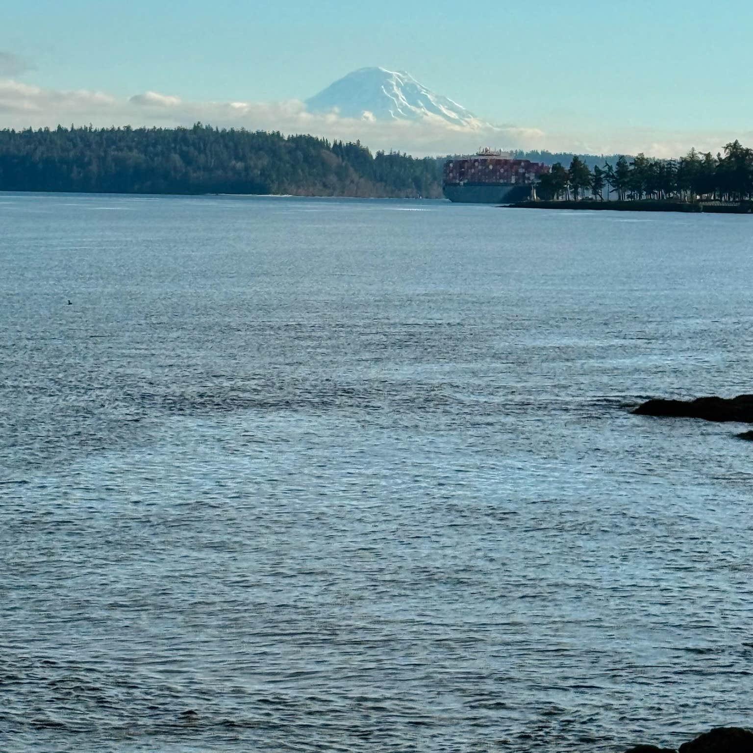 Manchester State Park Campground | Manchester, Washington