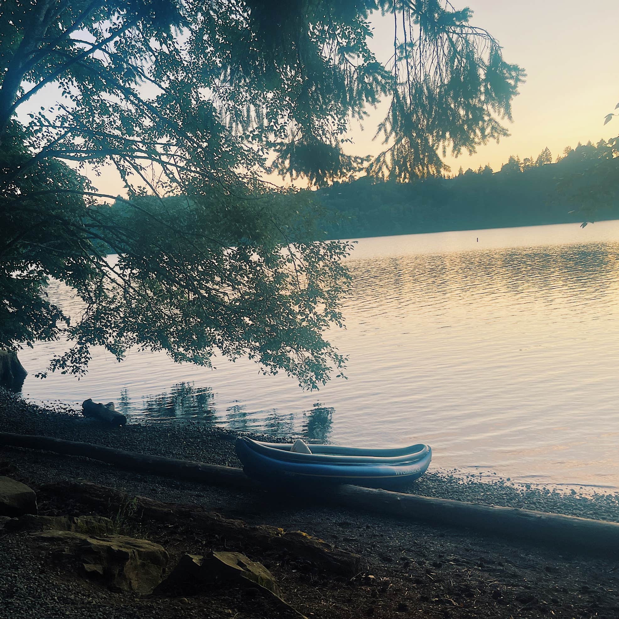 Mayfield Lake Park Camping | Mossyrock, WA