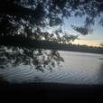 Mayfield Lake Park Camping | Mossyrock, Washington