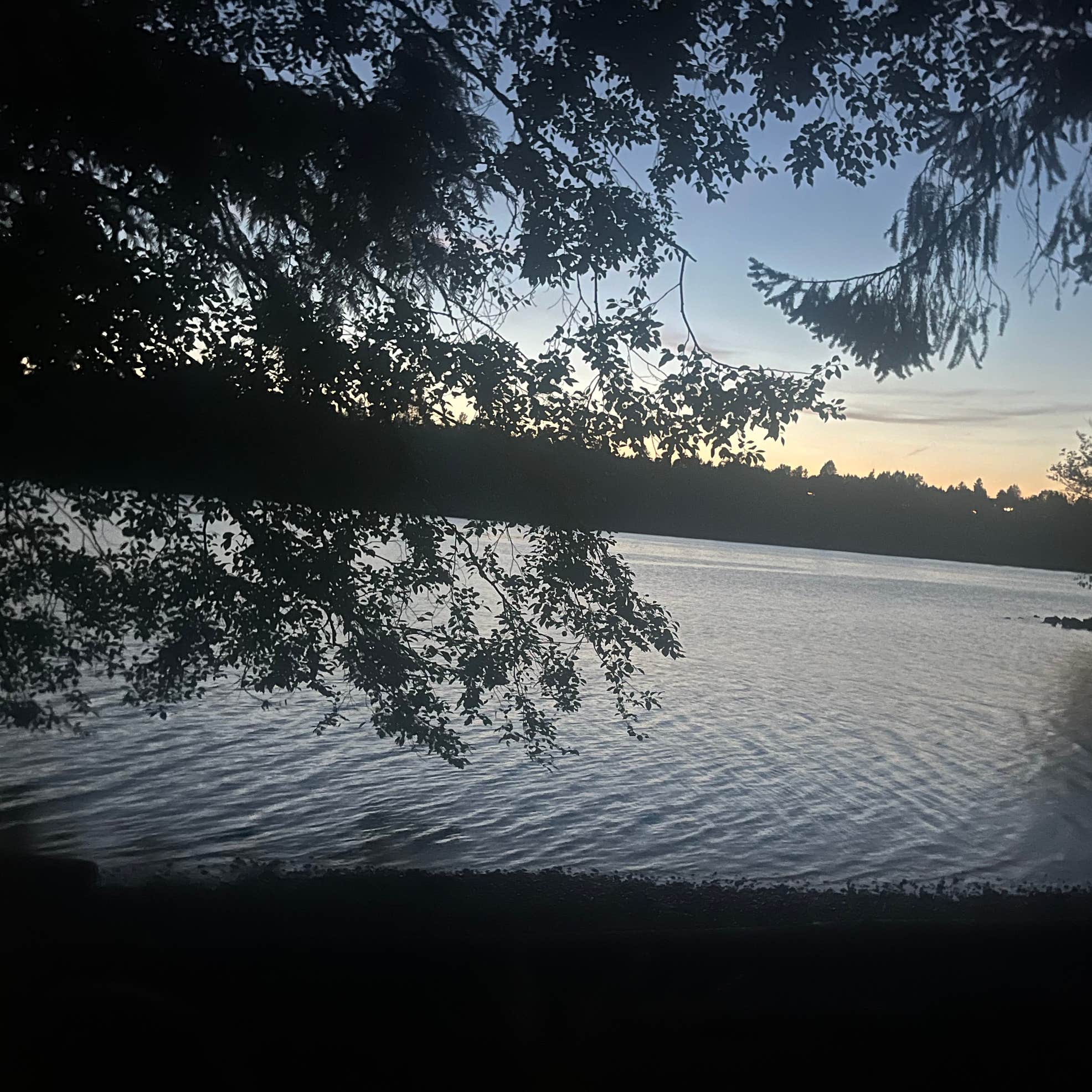 Mayfield Lake Park Camping | Mossyrock, Washington