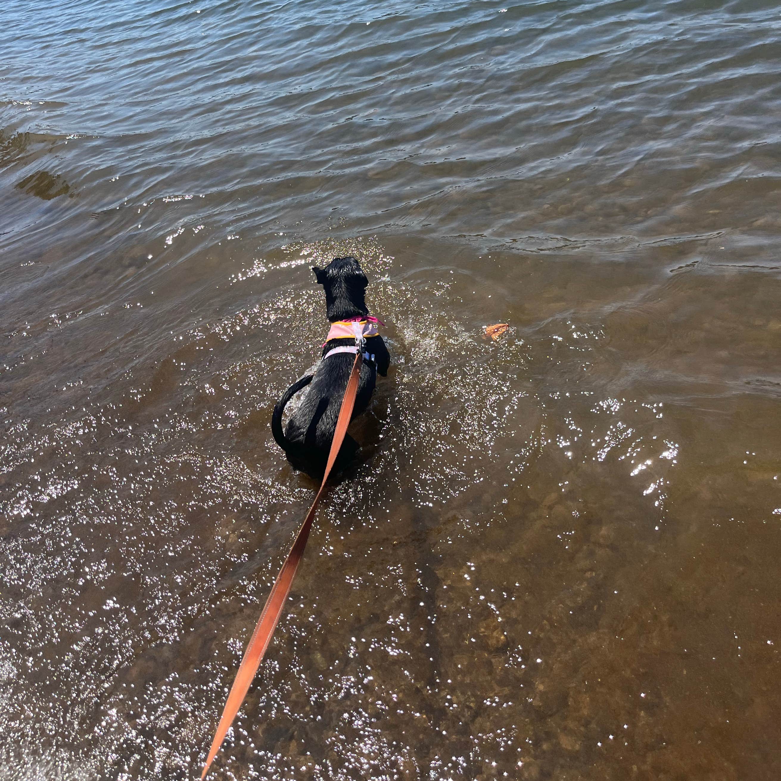 Mayfield Lake Park Camping | Mossyrock, WA