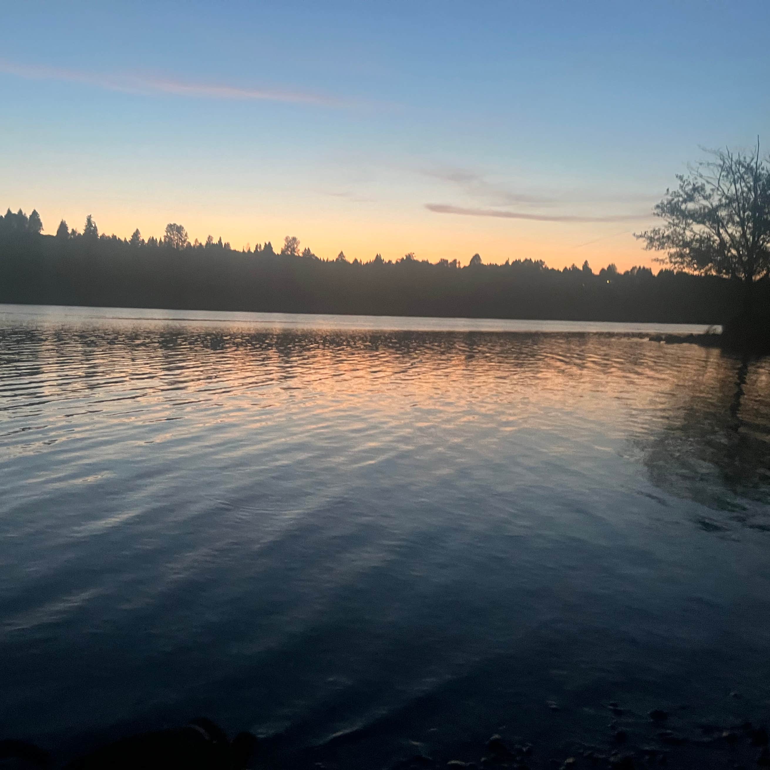 Mayfield Lake Park Camping | Mossyrock, Washington