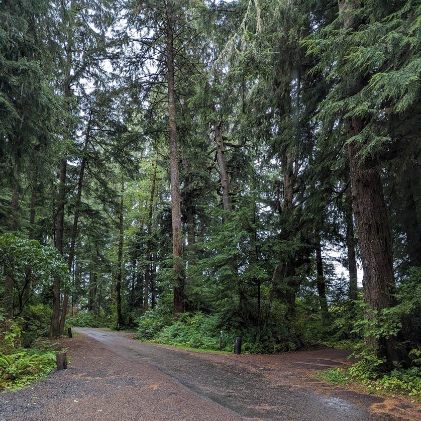 Mora Campground — Olympic National Park | La Push, Washington
