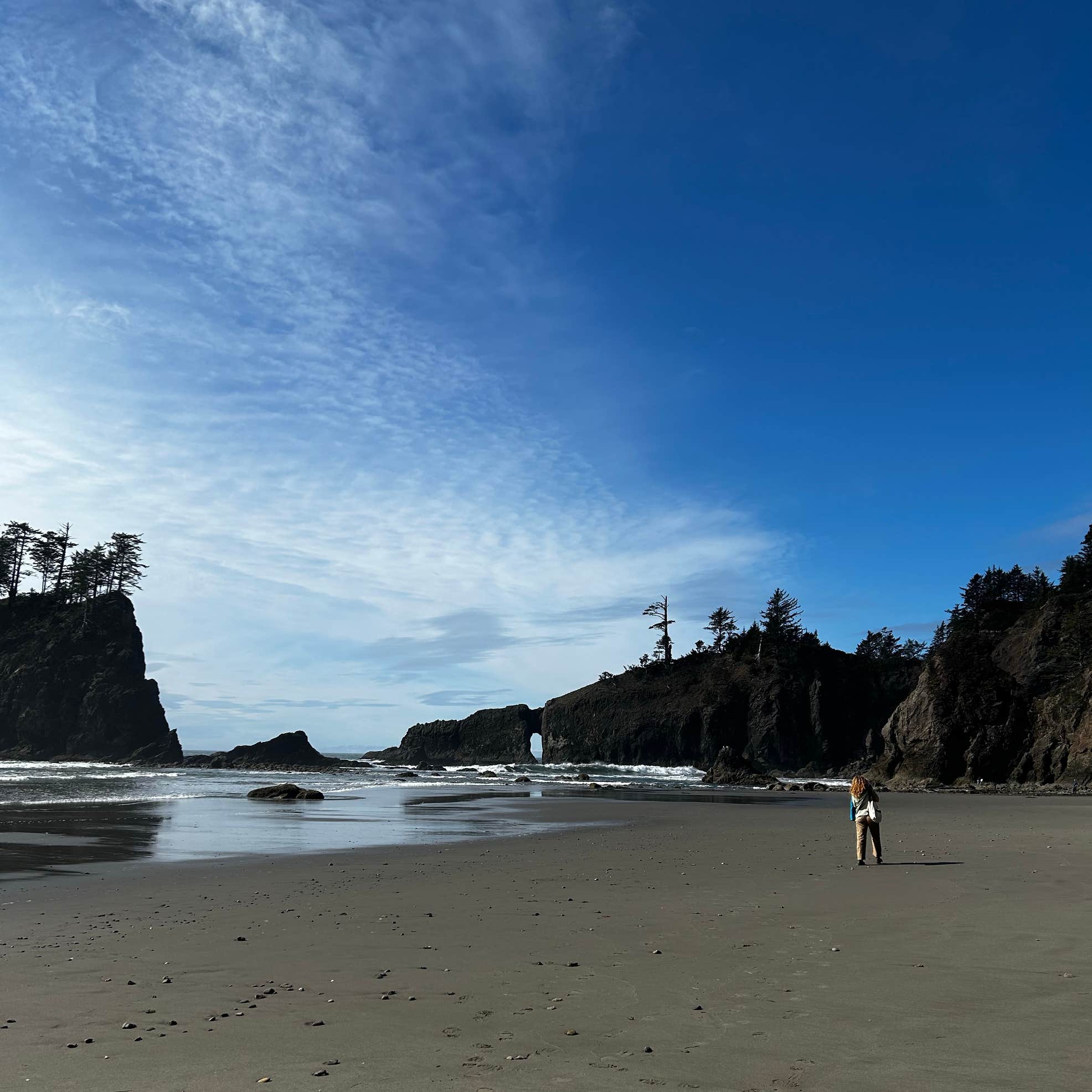 Mora Campground — Olympic National Park | La Push, Washington