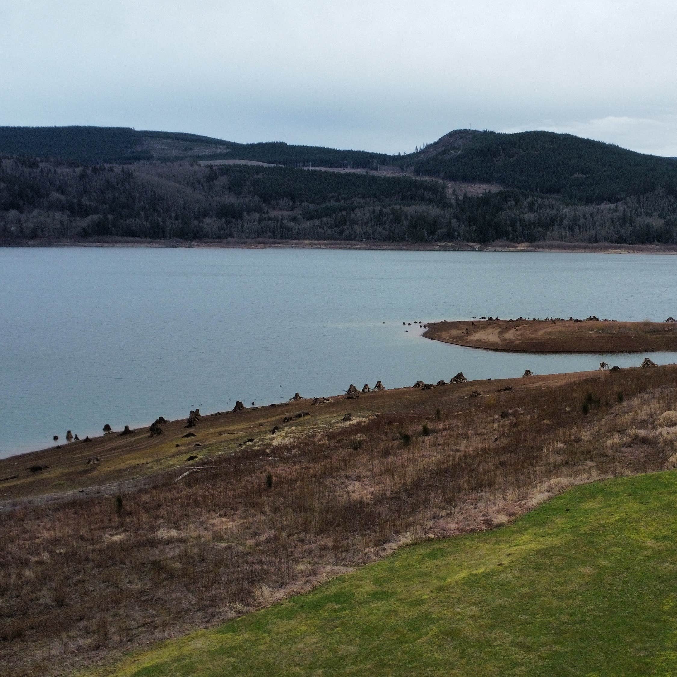 Mossyrock Park Camping | Mossyrock, Washington