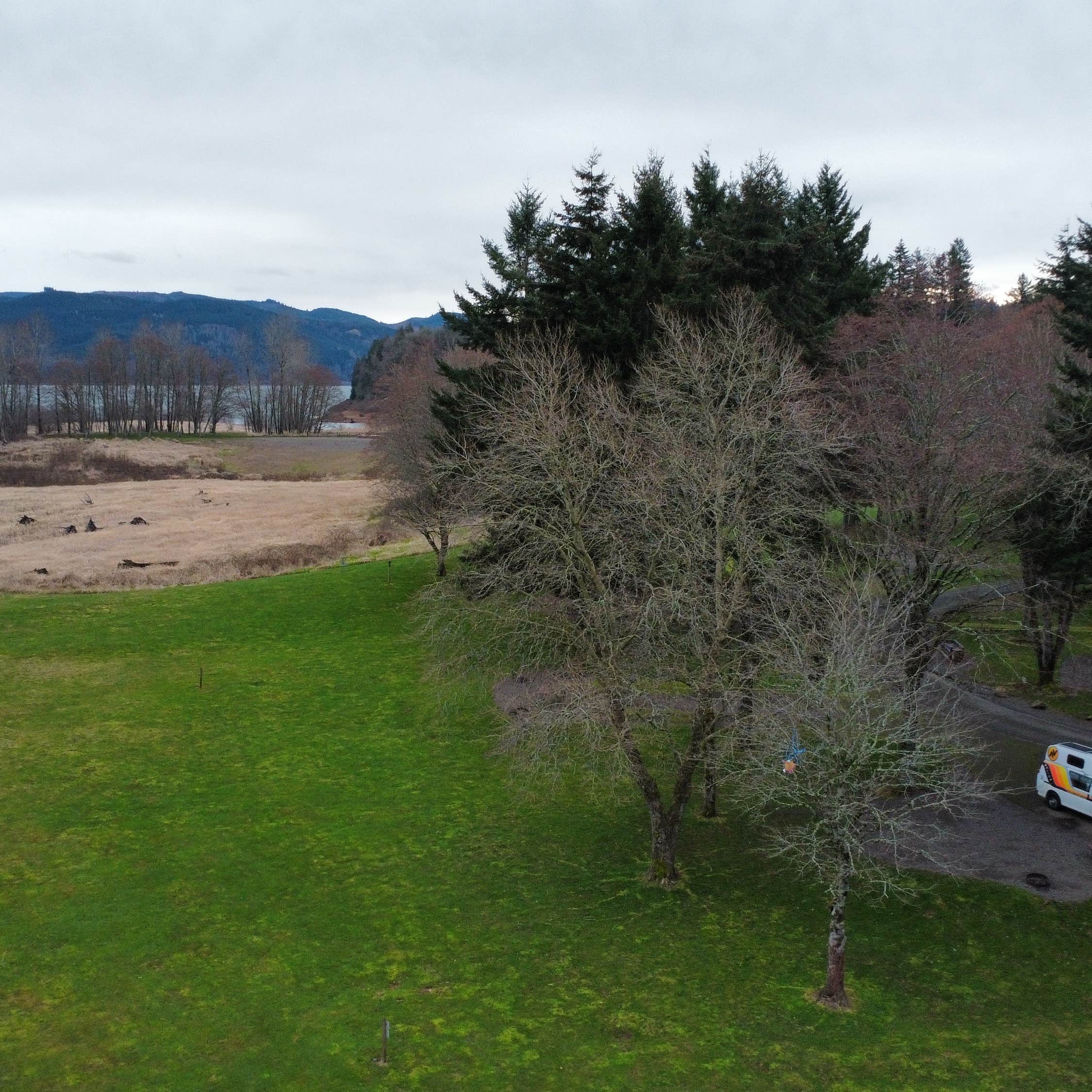 Mossyrock Park Camping | Mossyrock, Washington