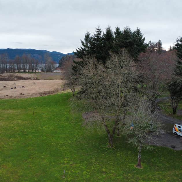Mossyrock Park Camping | Mossyrock, Washington