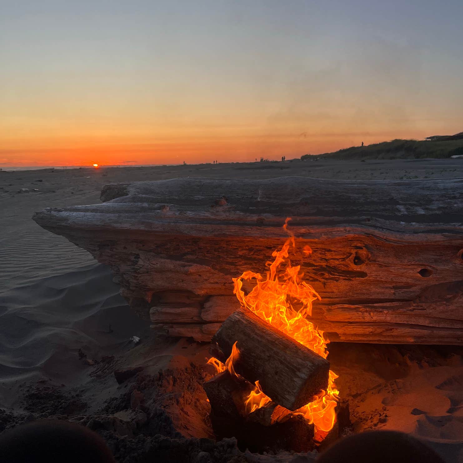 Pacific Beach State Park Campground | Pacific Beach, Washington