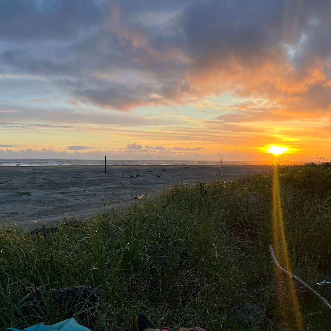 Pacific Beach State Park Campground | Pacific Beach, Washington