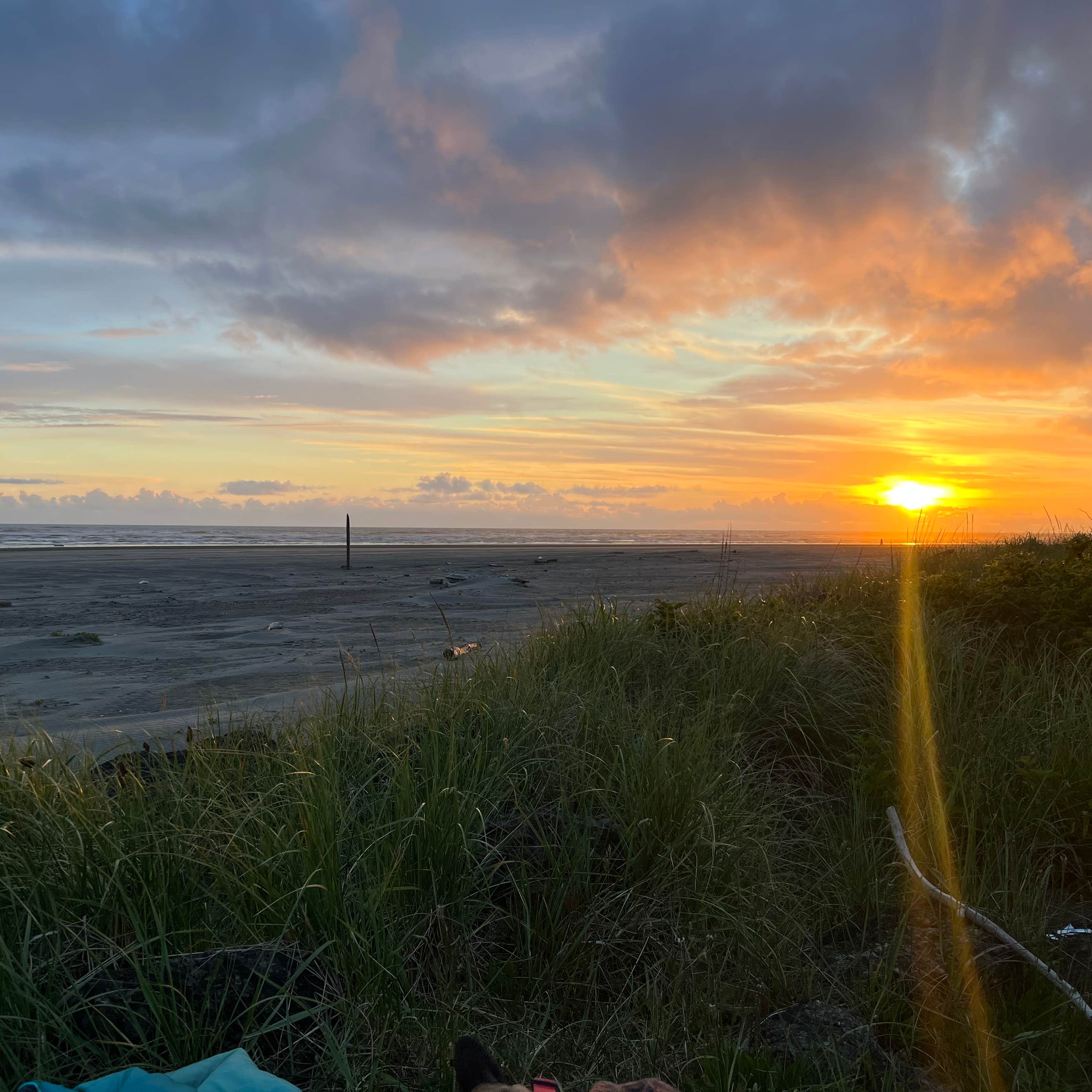 Pacific Beach State Park Campground | Pacific Beach, Washington