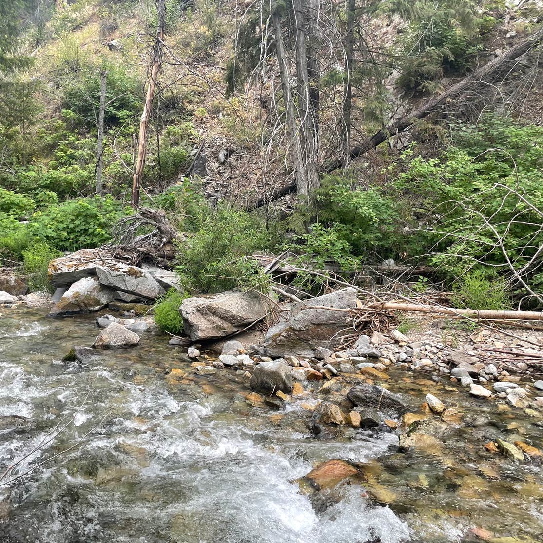 Pine Flats Group Campground | Ardenvoir, Washington