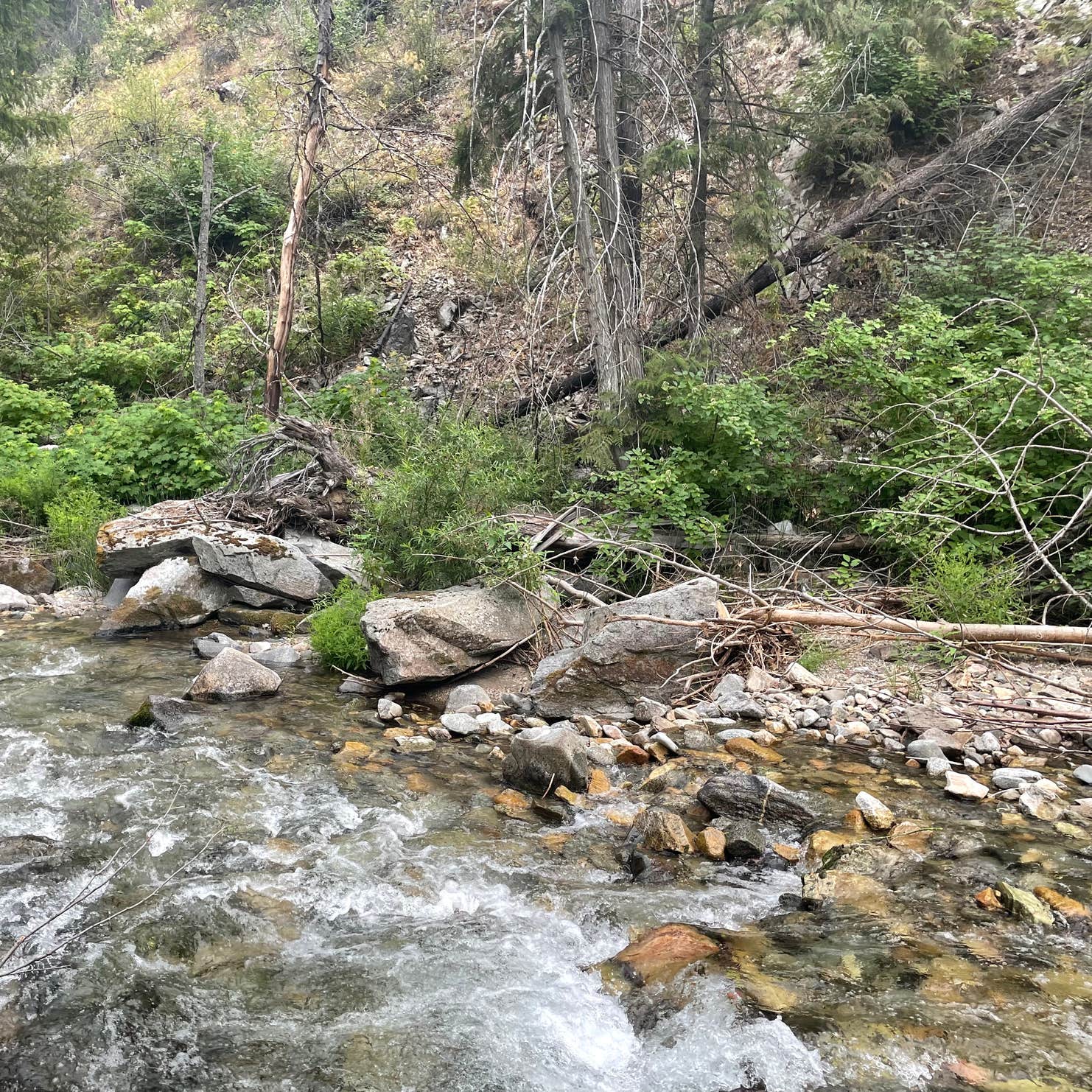 Pine Flats Group Campground | Ardenvoir, Washington