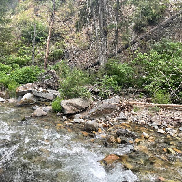 Pine Flats Group Campground | Ardenvoir, Washington