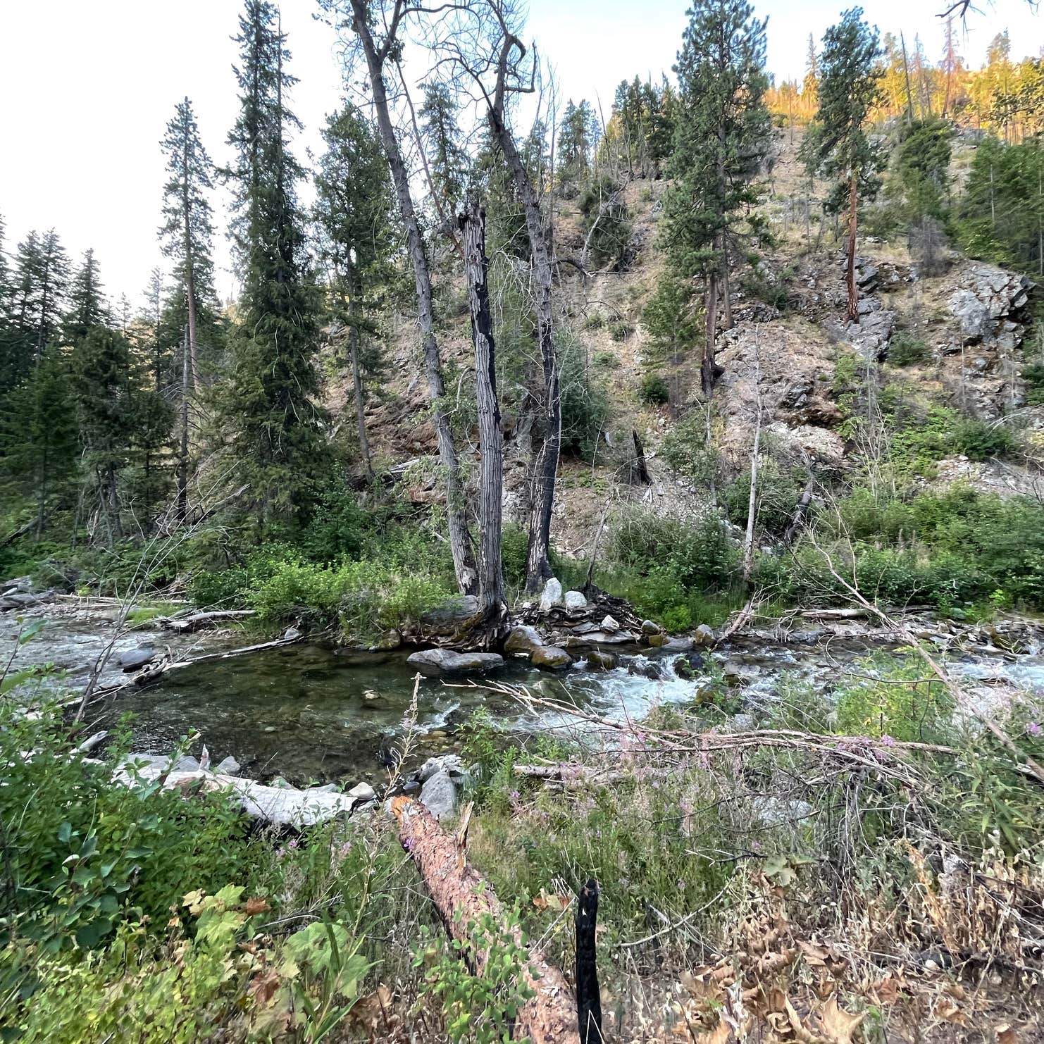Pine Flats Group Campground | Ardenvoir, Washington
