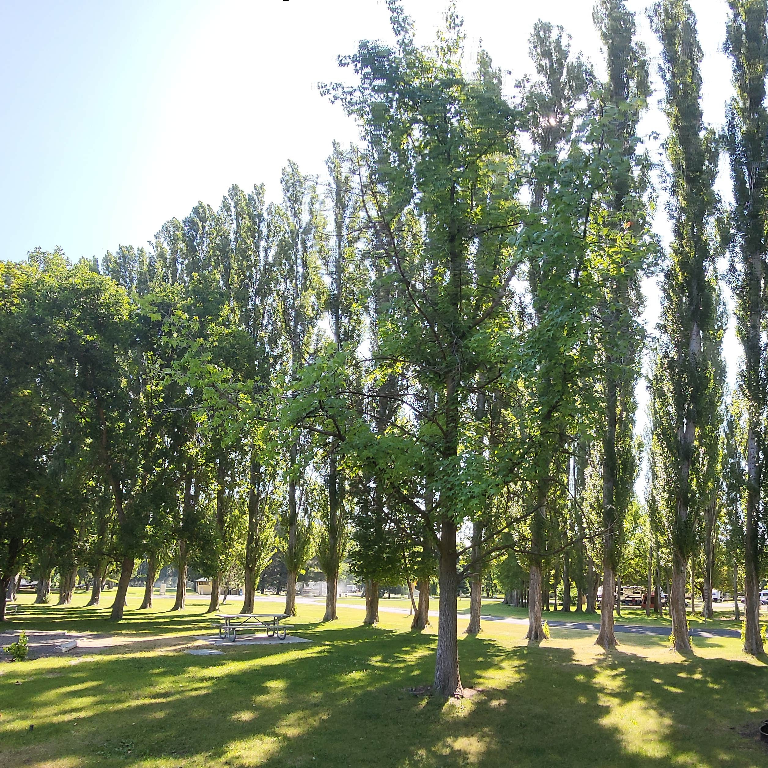 Potholes State Park Campground | Moses Lake, Washington