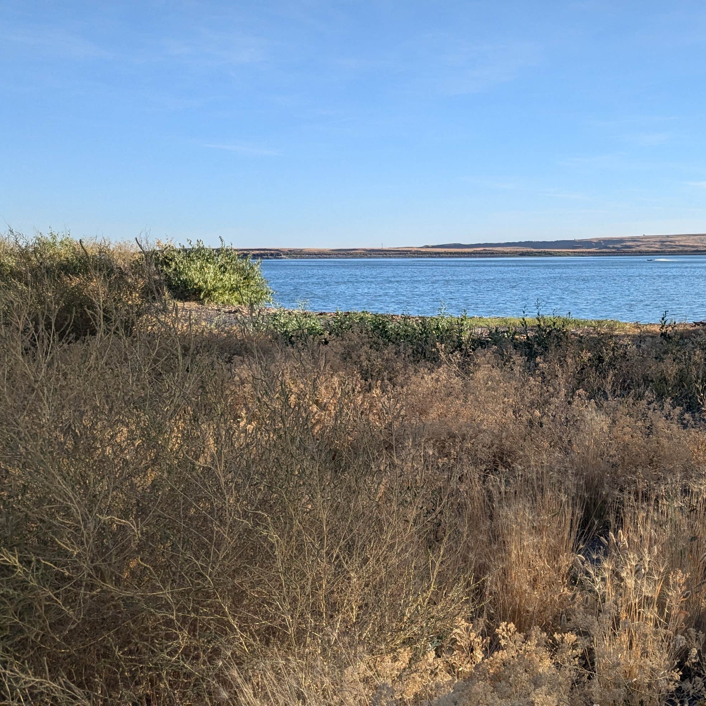 Potholes State Park Campground | Moses Lake, Washington