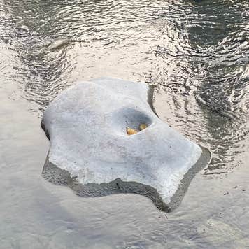 Queets Campground — Olympic National Park | Amanda Park, Washington