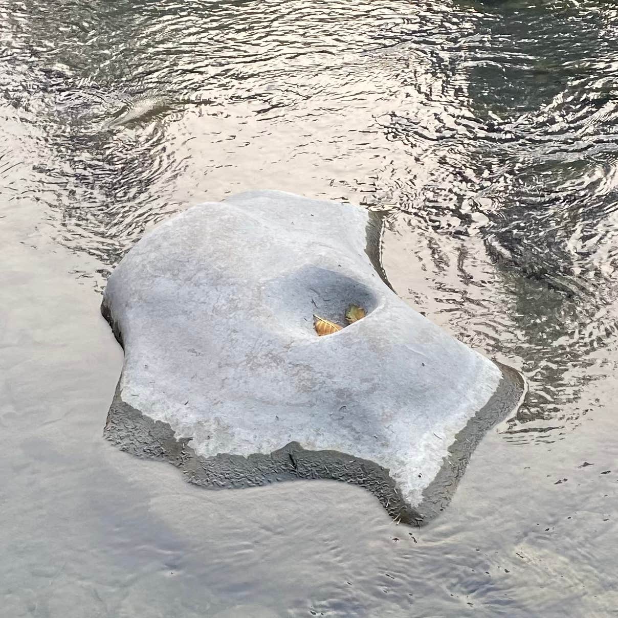 Queets Campground — Olympic National Park | Amanda Park, Washington