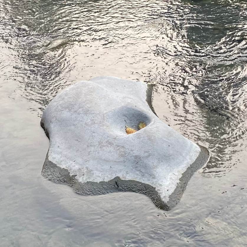 Queets Campground — Olympic National Park | Amanda Park, Washington