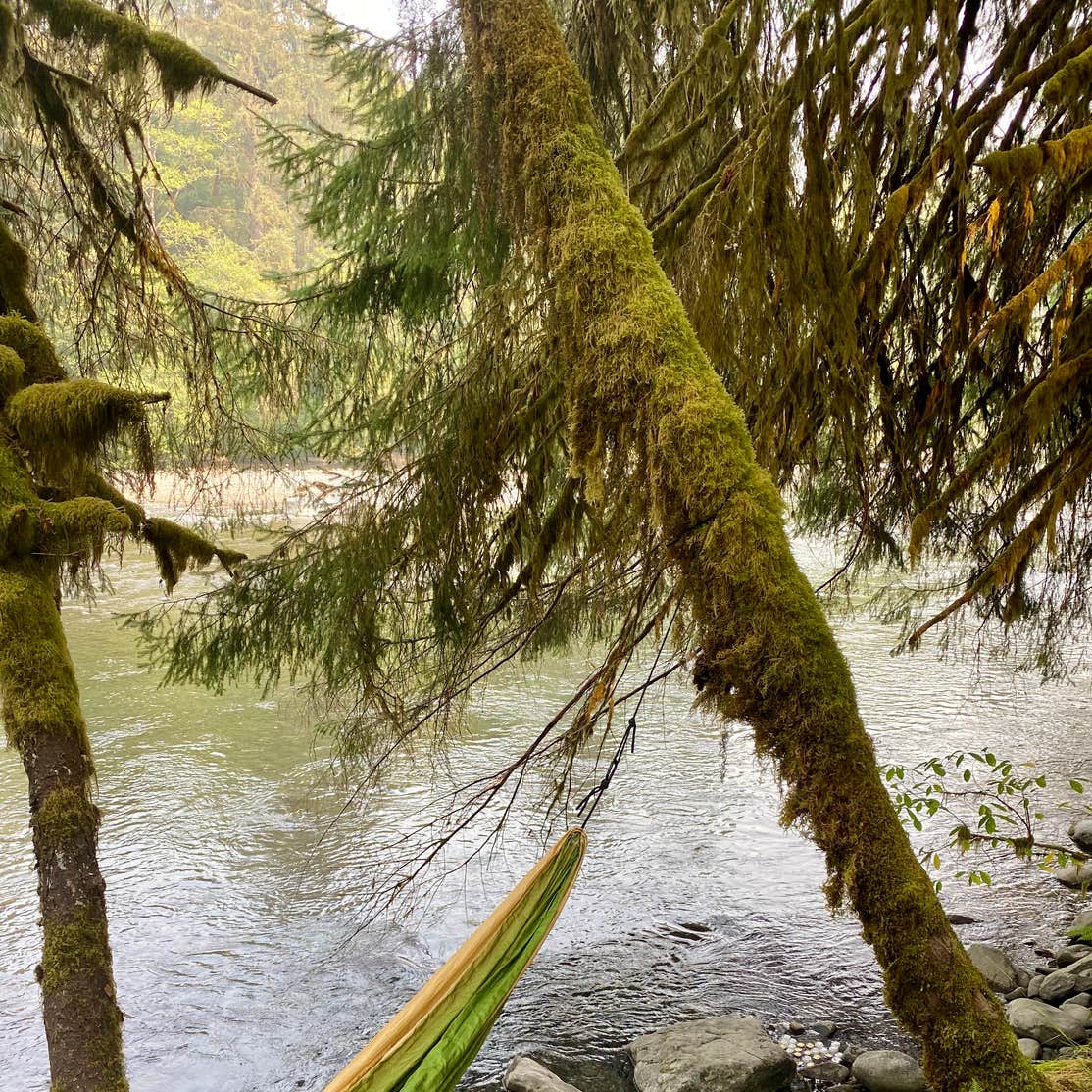 Queets Campground — Olympic National Park | Amanda Park, Washington