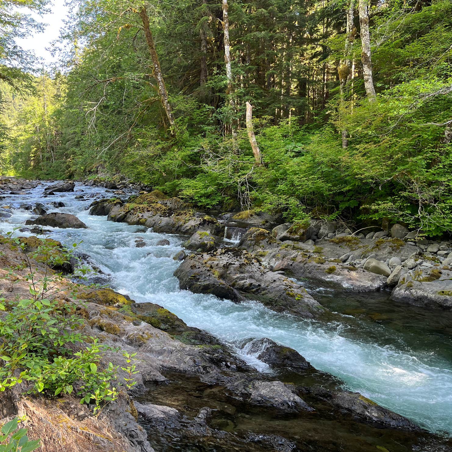 Sol Duc Hot Springs Resort Campground — Olympic National Park | Sol Duc ...