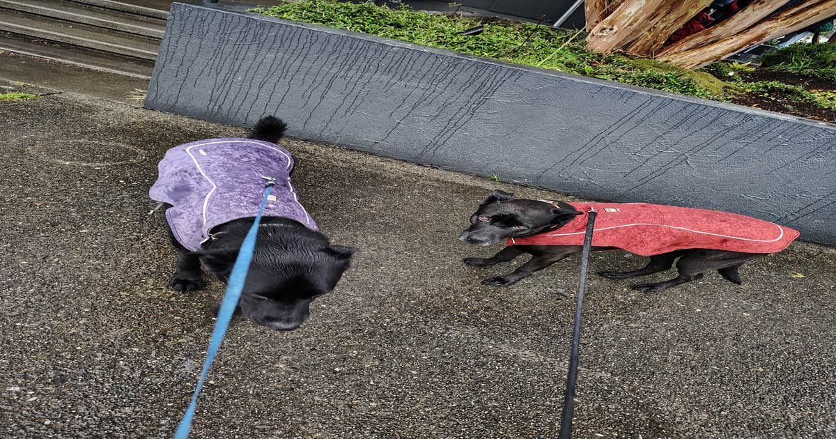 Sundale Park Primitive Campground | Mikkalo, Oregon