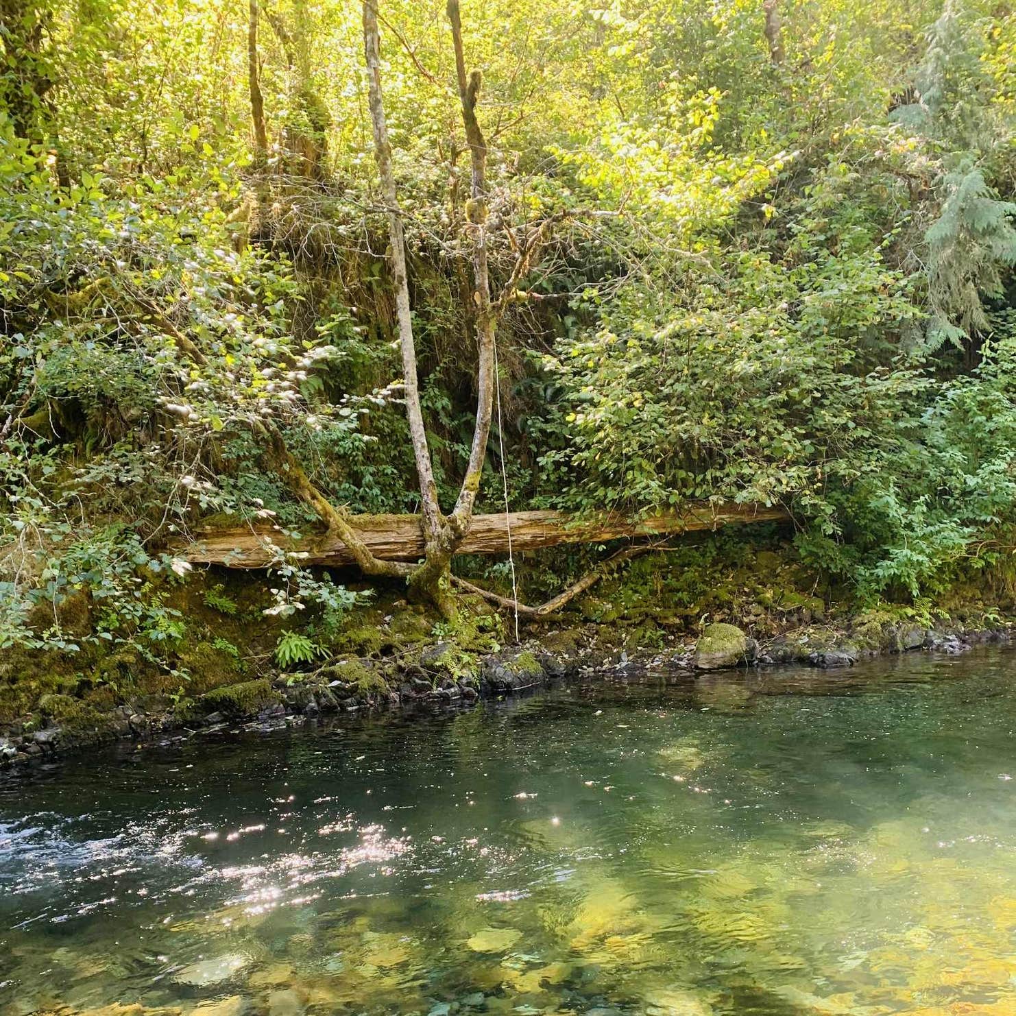 Sunset Falls Campground | Yacolt, Washington