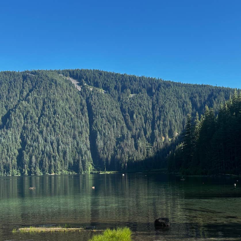 Walupt Lake Campground | Randle, WA
