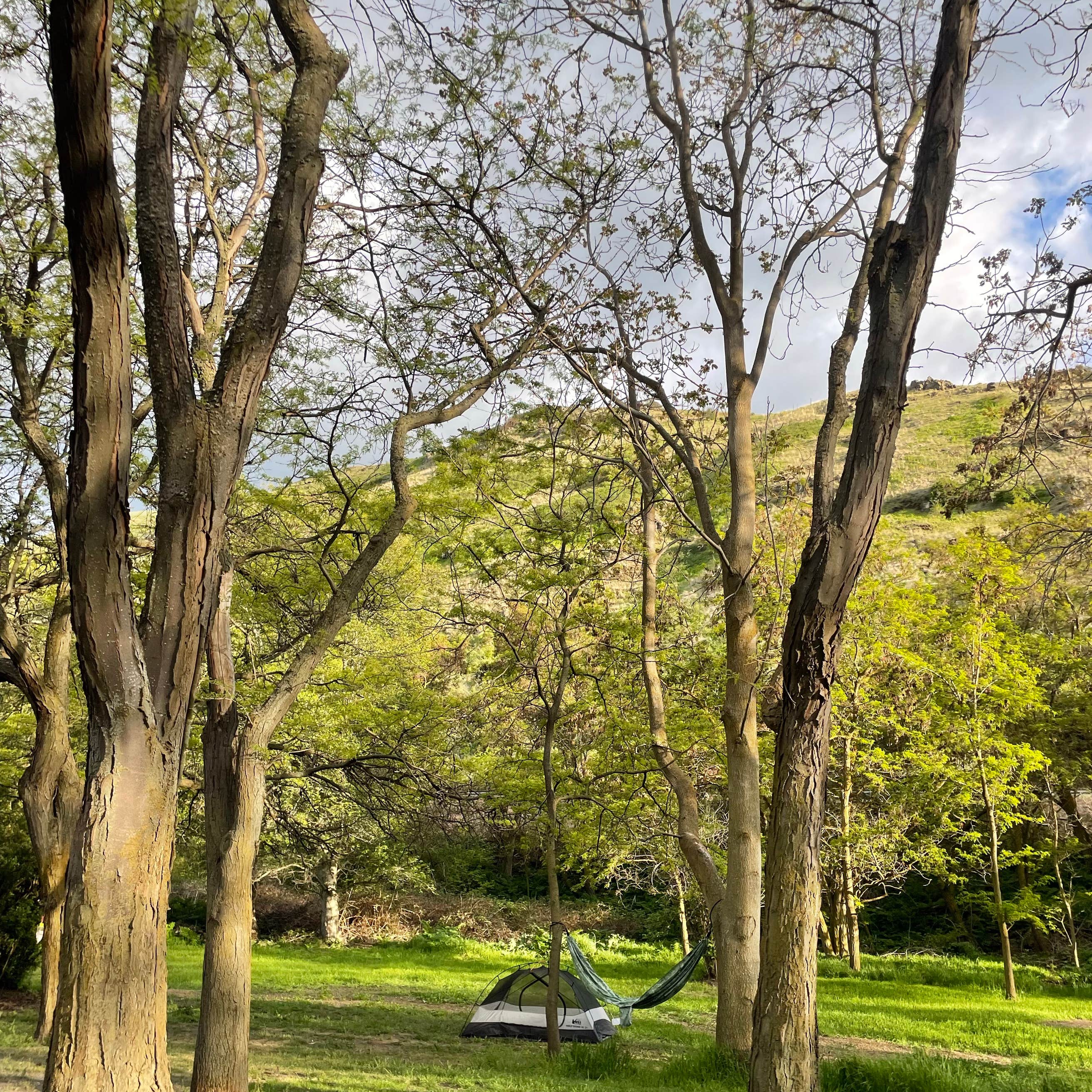 Wawawai County Park Camping | Pullman, Washington