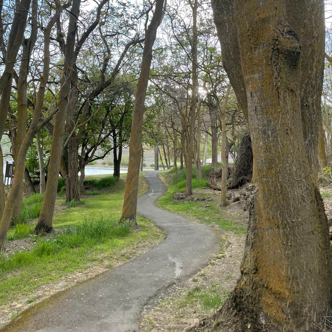 Wawawai County Park Camping | Pullman, Washington