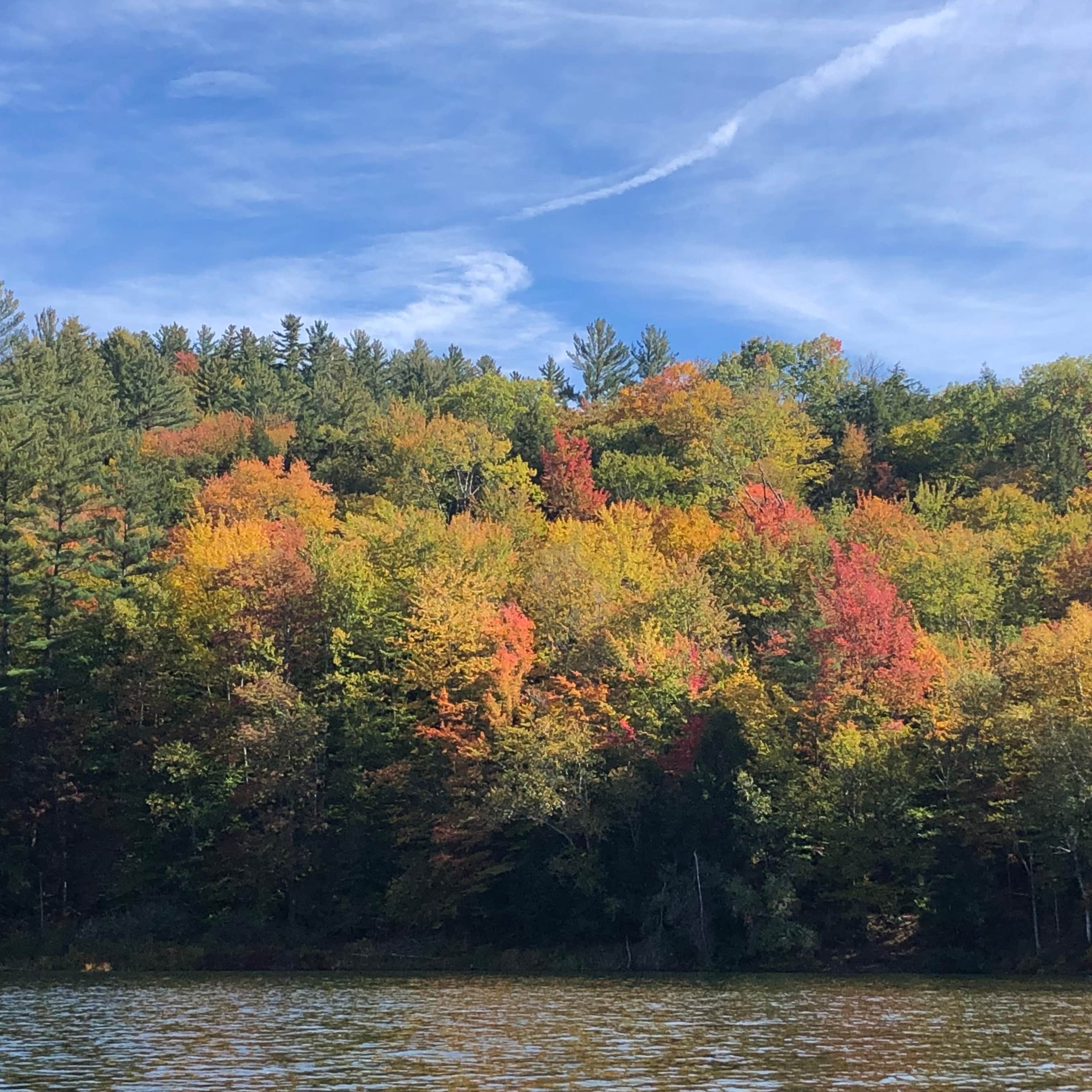 Waterbury Reservoir Remote Sites — Waterbury Center State Park Camping ...