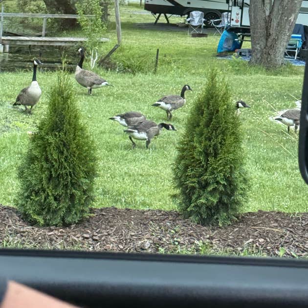 Waterloo Harbor Campground | Waterloo, New York