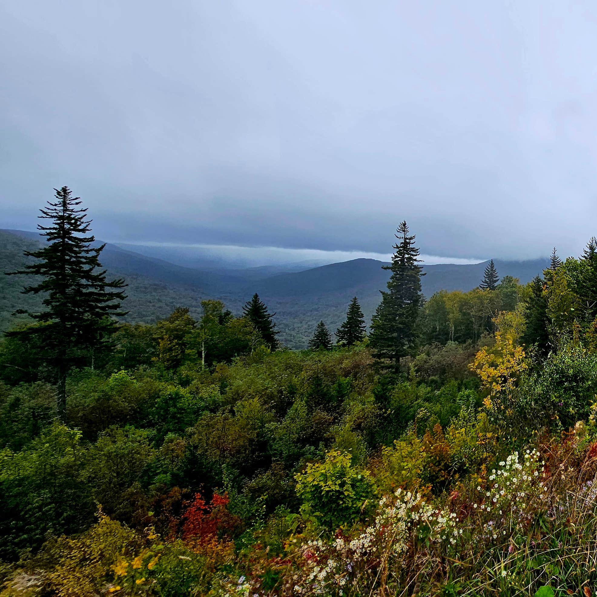 Riverside Campground — Watoga State Park | Hillsboro, West Virginia