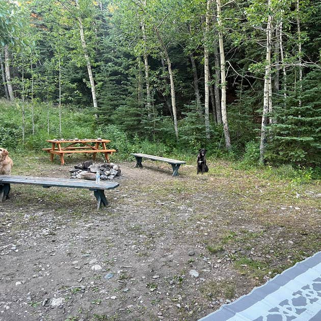 Waugaman Village RV Park | Healy, Alaska