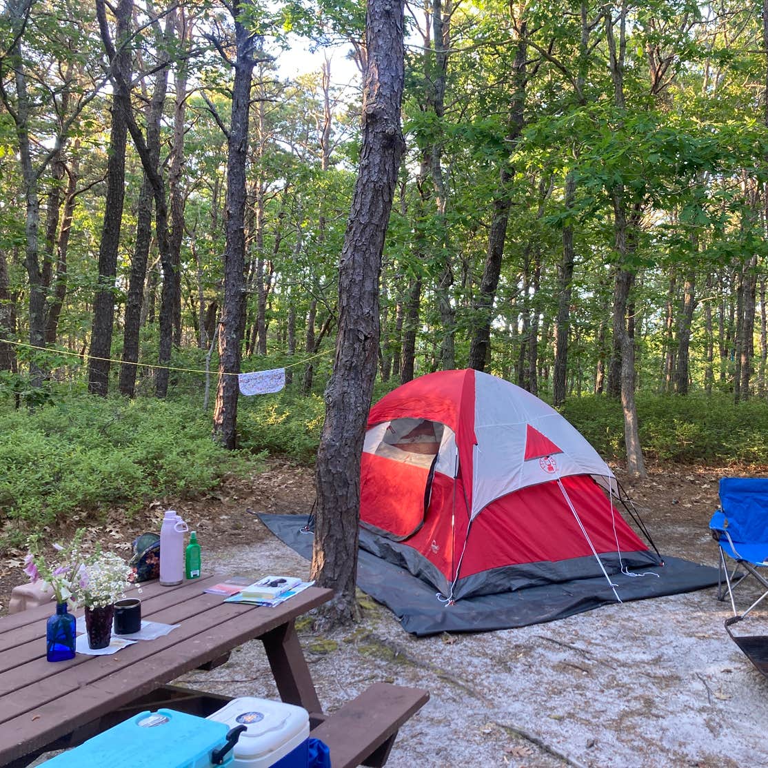 Wellfleet Hollow State Campground | South Wellfleet, Massachusetts
