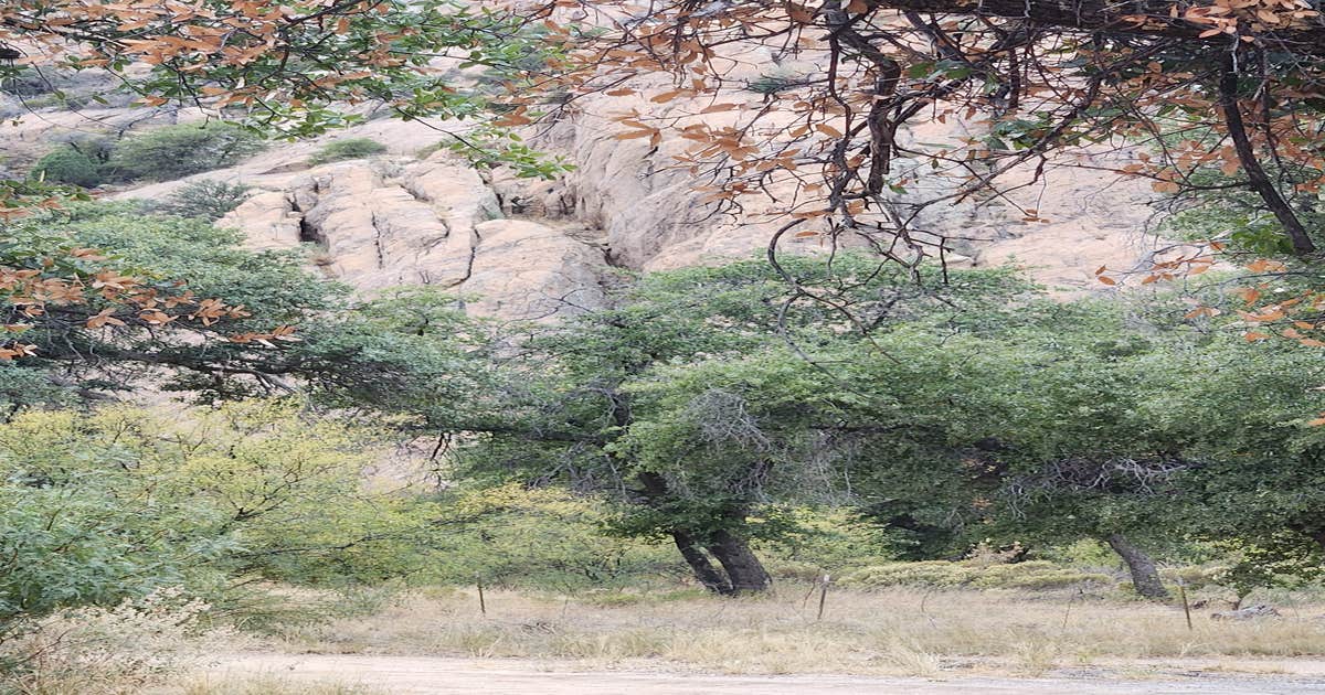 West Hunt Road Camping | Dragoon, Arizona