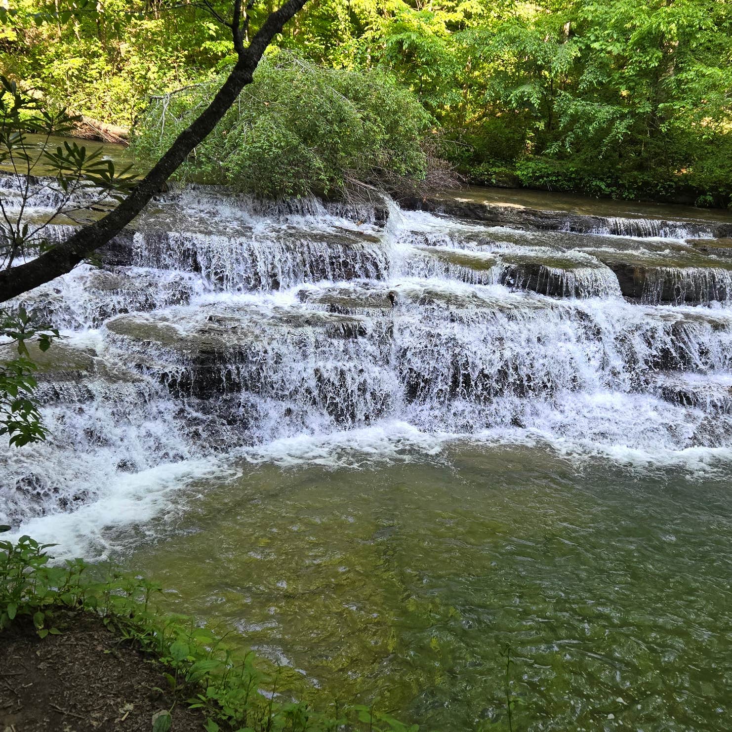 Blue Jay Campground — Camp Creek State Park | Camp Creek, West Virginia