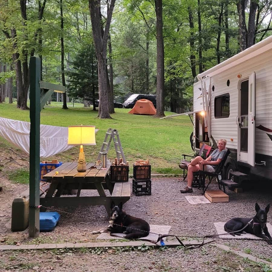 Coopers Rock State Forest Camping | Dellslow, West Virginia