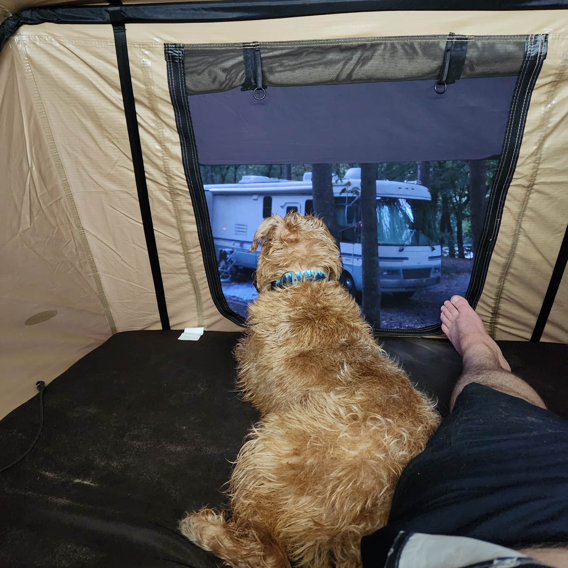 Grandview Sandbar Campground — New River Gorge National Park and ...